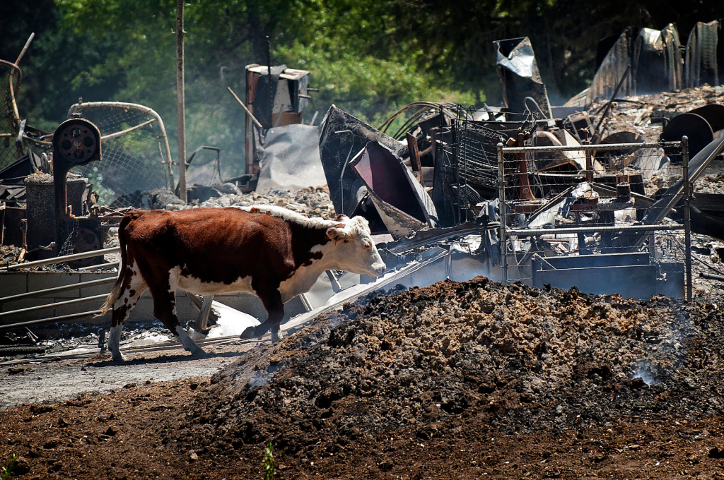 Silver Fire: Wildfire grows to 18,000 acres with 40 percent containment ...