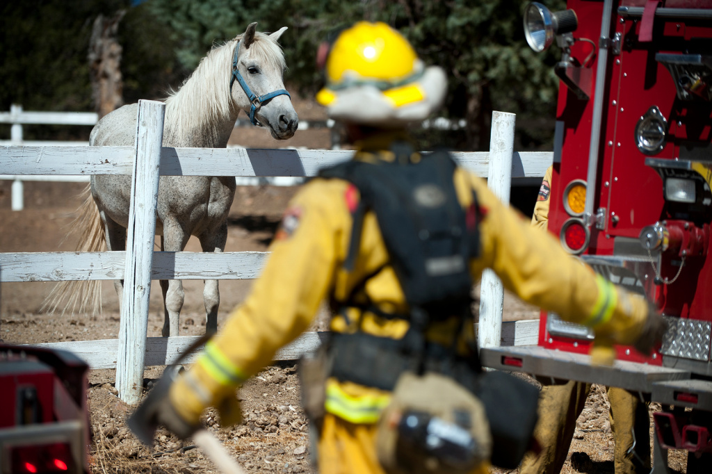 Silver Fire: Wildfire grows to 18,000 acres with 40 percent containment ...